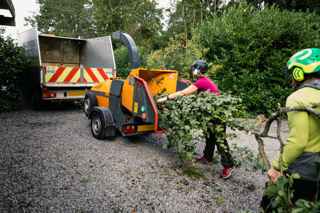 Why Is Professional Tree Trimming Better Than DIY Solutions? | T&S ...