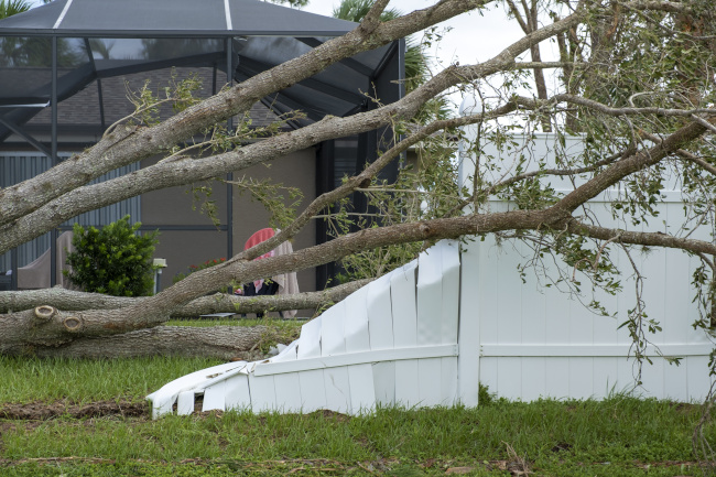 What to Do When Your Yard Has Been Affected by Storm Damage | T&S ...